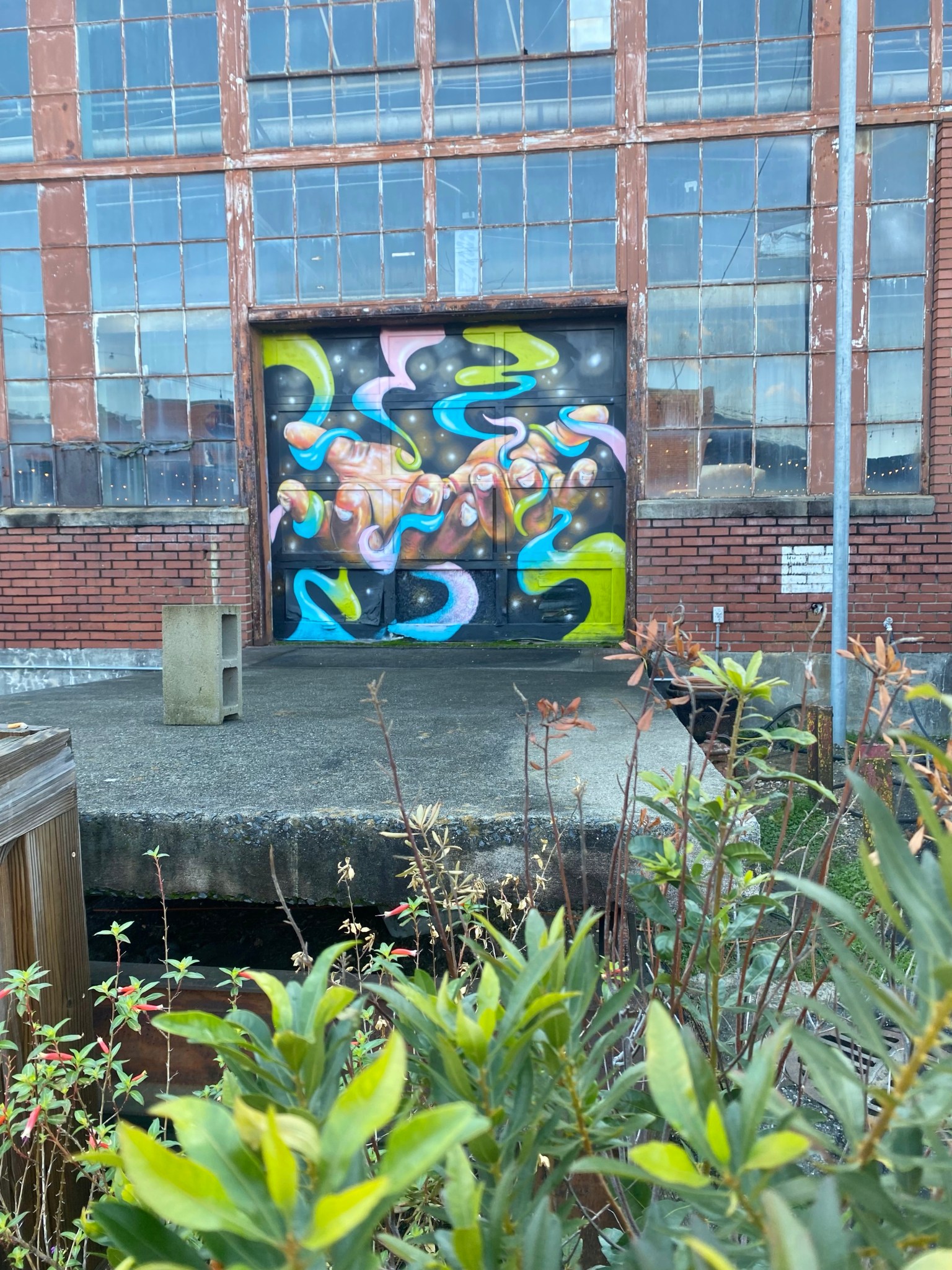 The Best Murals in Charlotte, North Carolina – The Happy Door