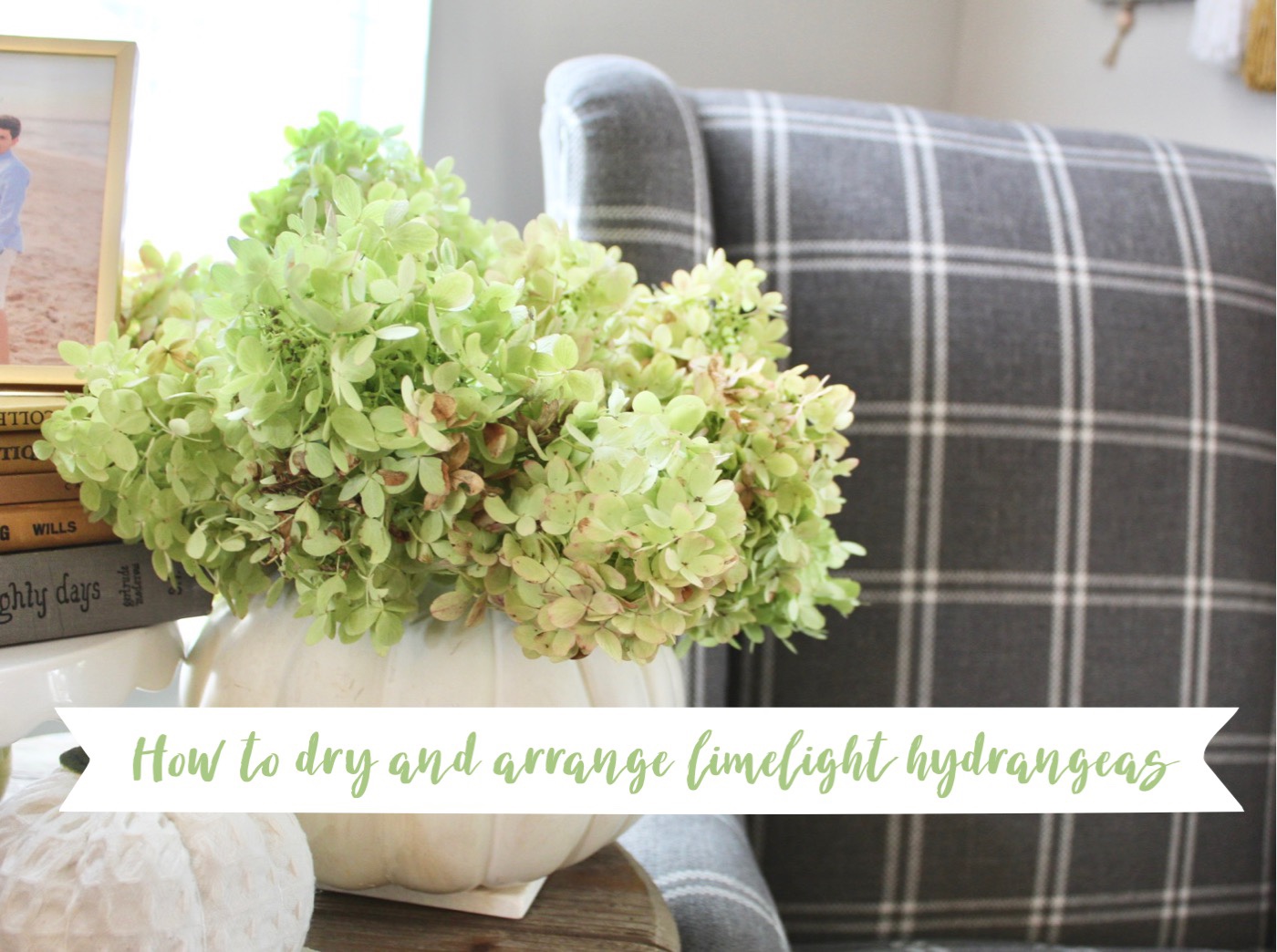 How to dry and arrange limelight hydrangeas – The Happy Door